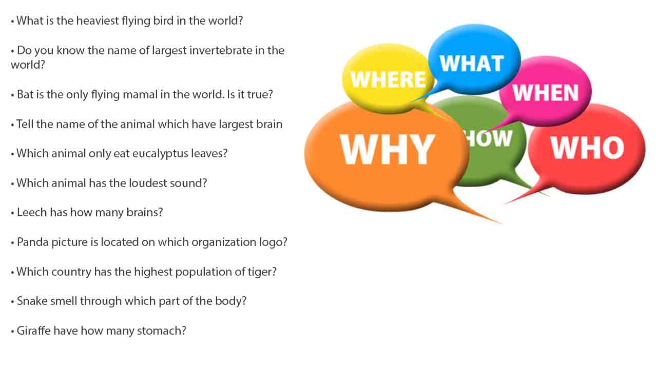 Really Hard Trivia Questions With Answers 100 Questions List 