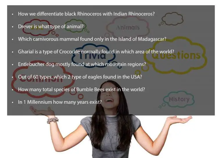 80+ Common Trivia Questions with Answers [Updated]