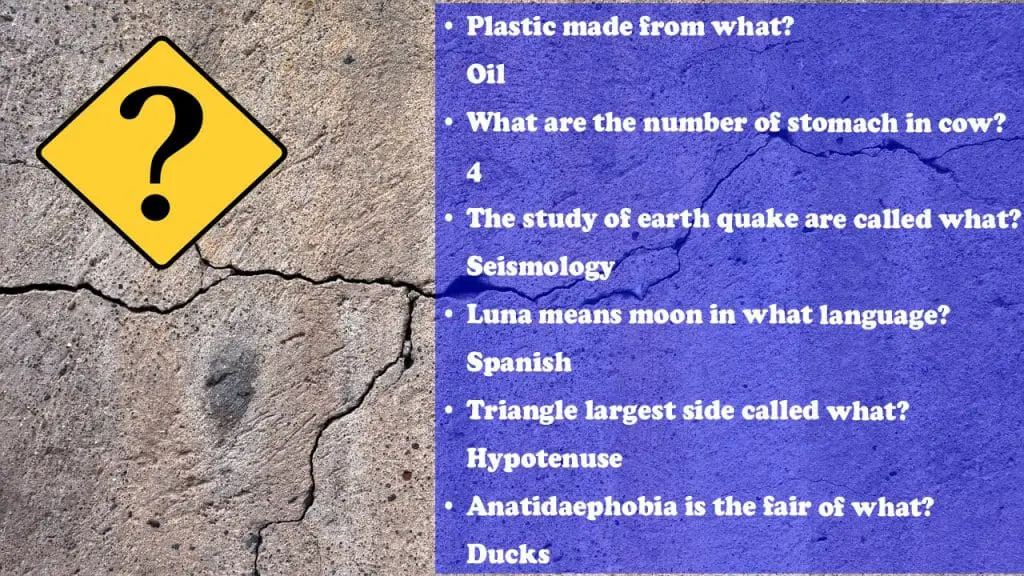 120+ Trivia Crack Questions and Answers