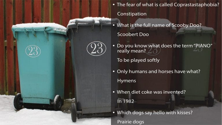 85+ Useless Trivia Questions and Answers