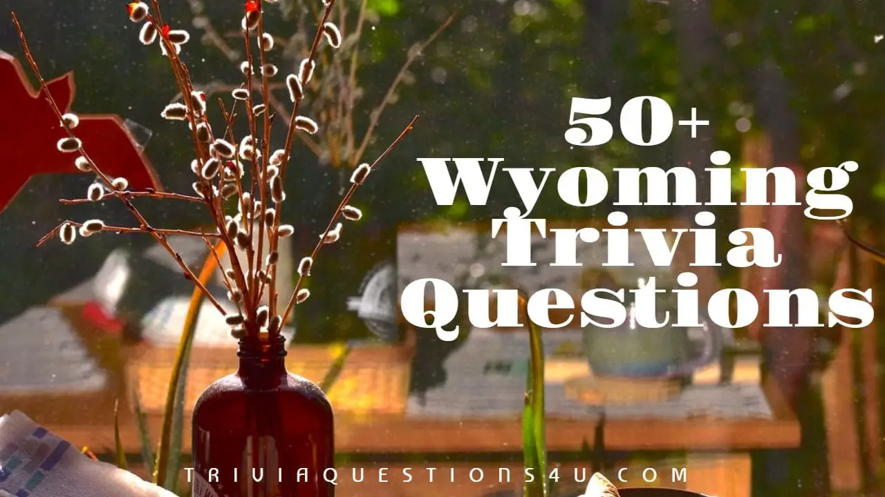 55+ Maine trivia questions